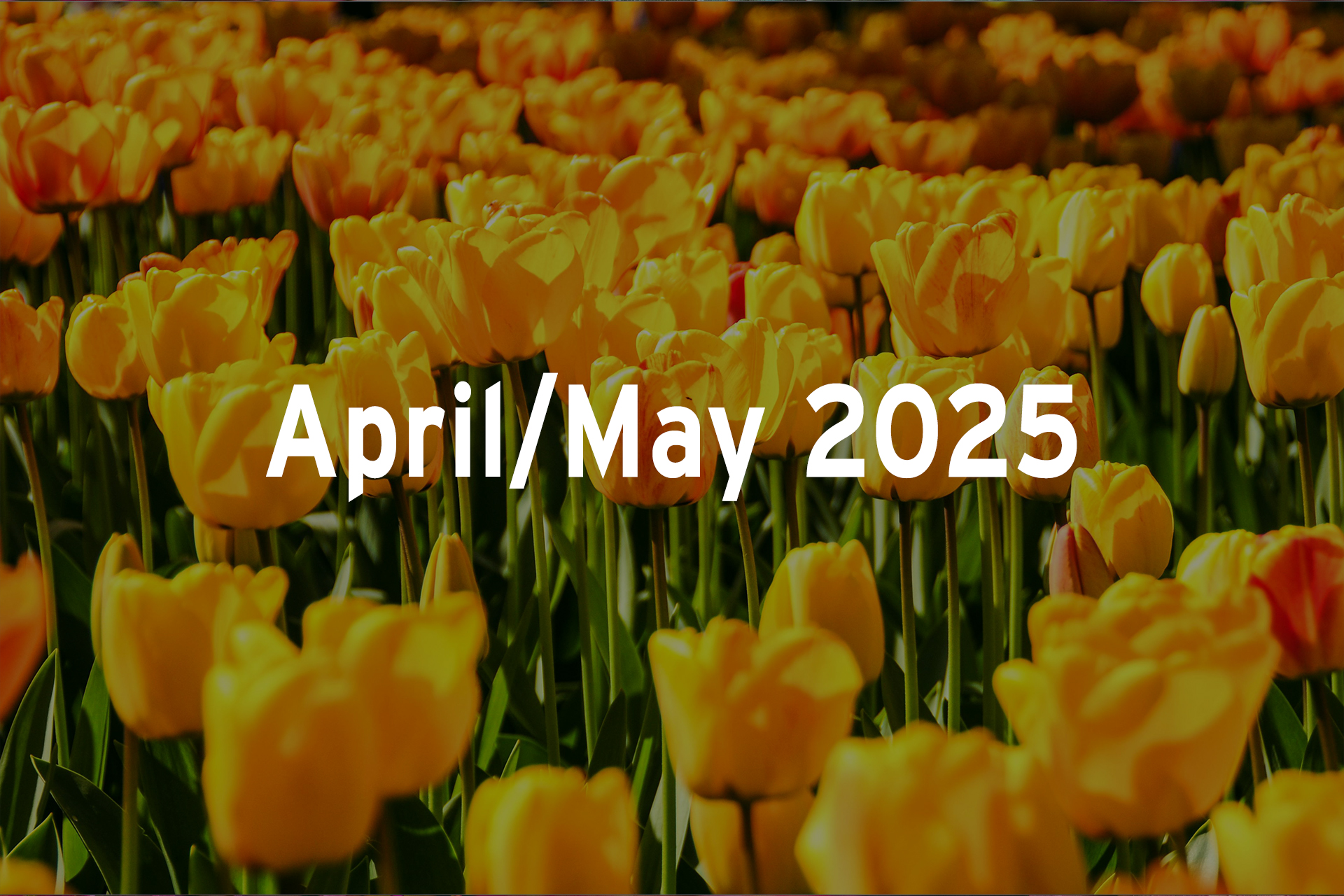 April/May 2025 Calendar - Christ United Methodist Church