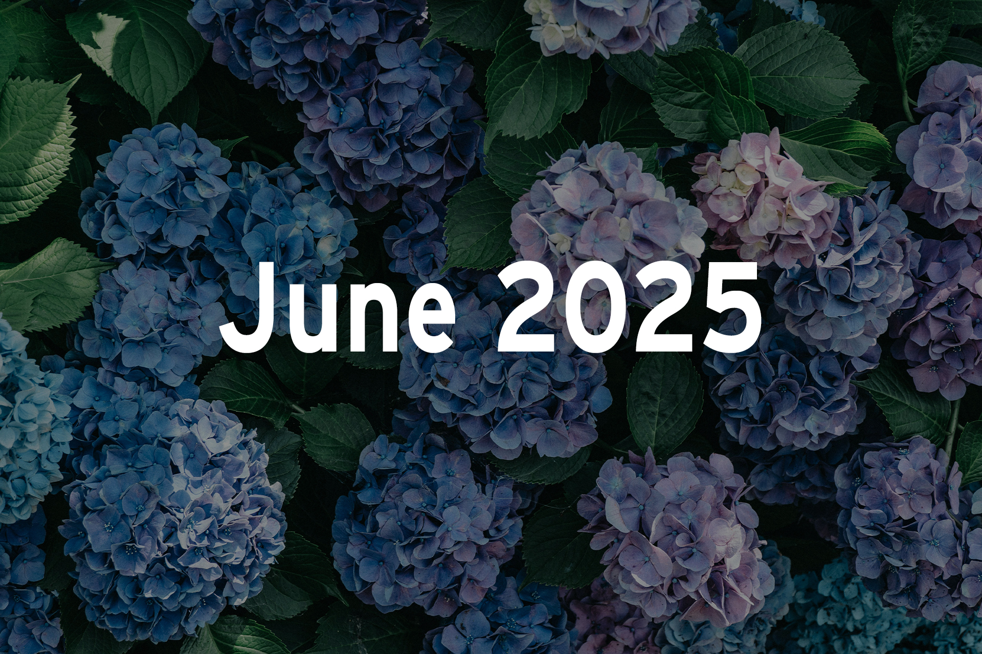 June 2025 - Christ United Methodist Church
